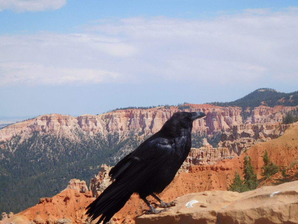 Stranger Things Season 1 Chapter 5: The Flea and the Acrobat Recap ...