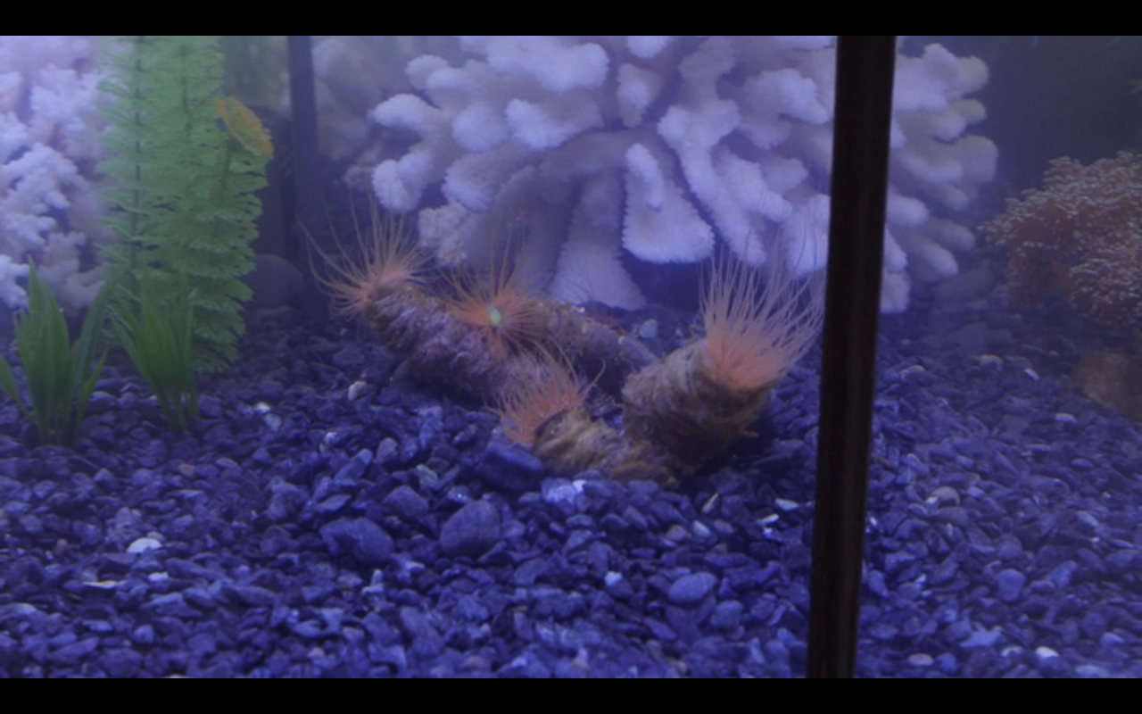 The OA Part 2 Episode 2: Treasure Island Recap – Metawitches