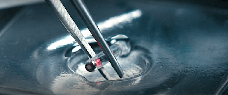 Severance Season 1 Episode 2: Half Loop Recap – Metawitches